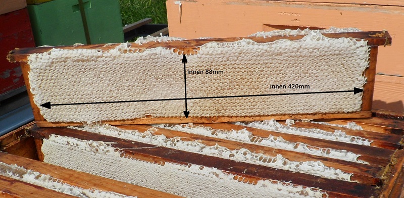 Honigwaben und Ernte