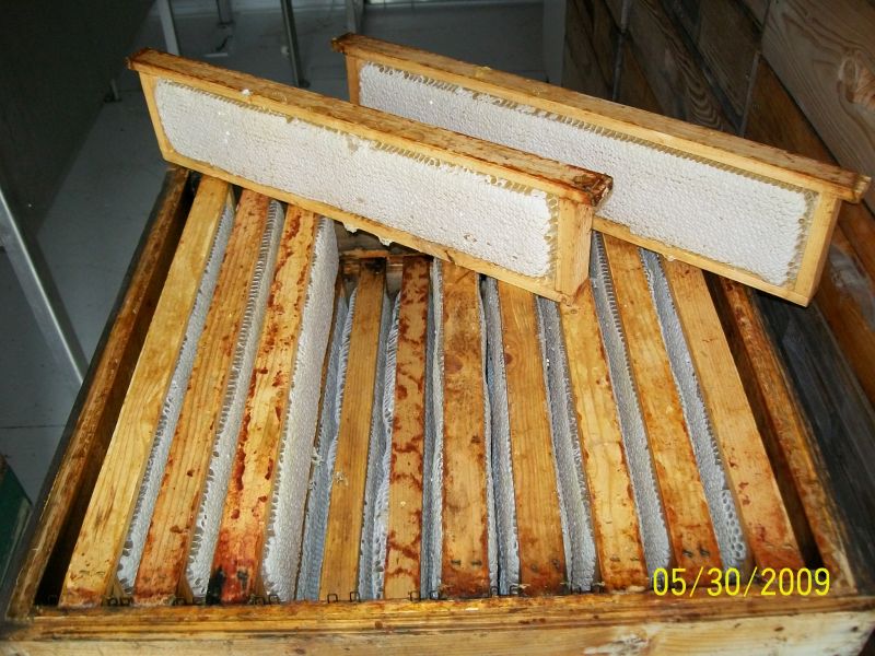 Honigwaben und Ernte